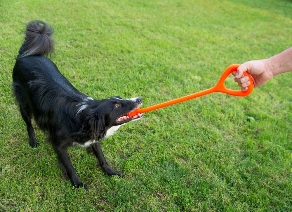 The Ultimate Tug Dog Toy! Made in the USA!